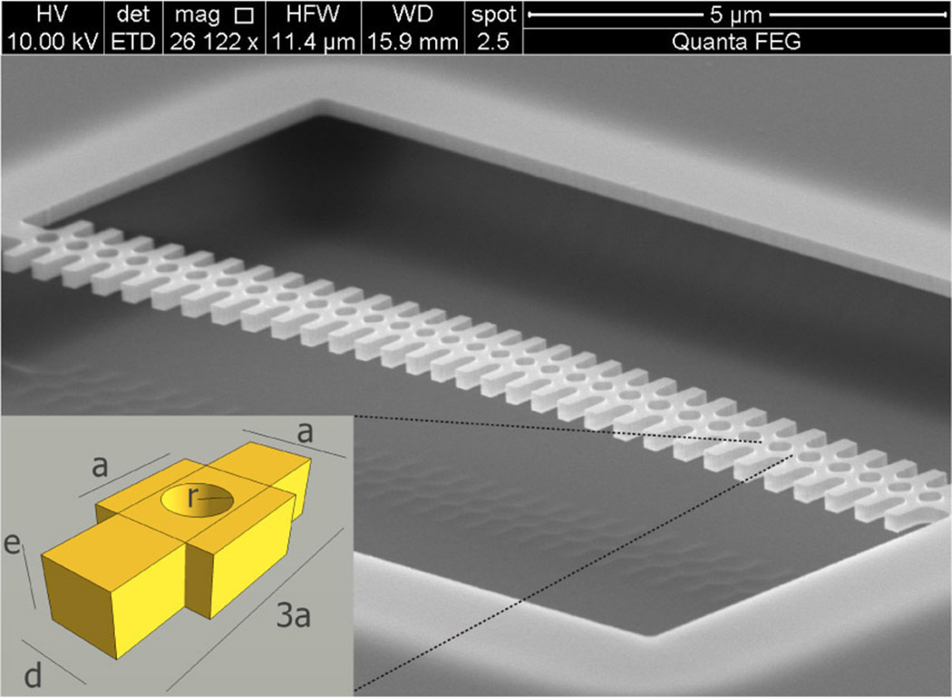 Coherent phonon generation in optomechanical crystals