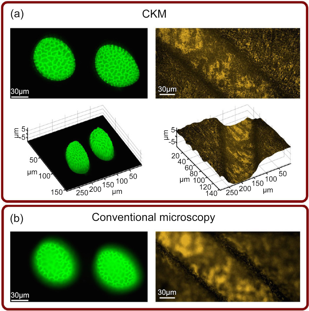 Computational imaging for 3D micrographs with 10-fold depth-of-field ...
