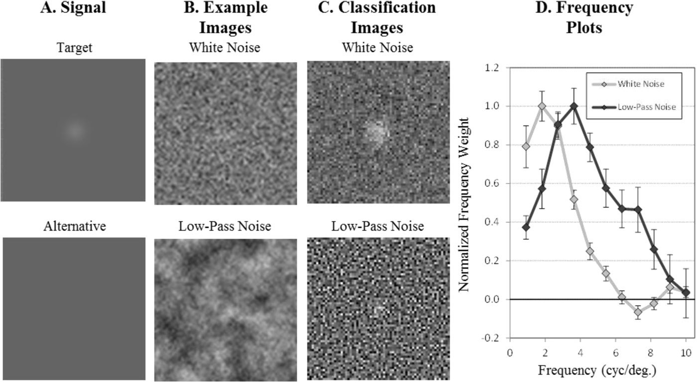 Classification images aid understanding of visual task performance and ...
