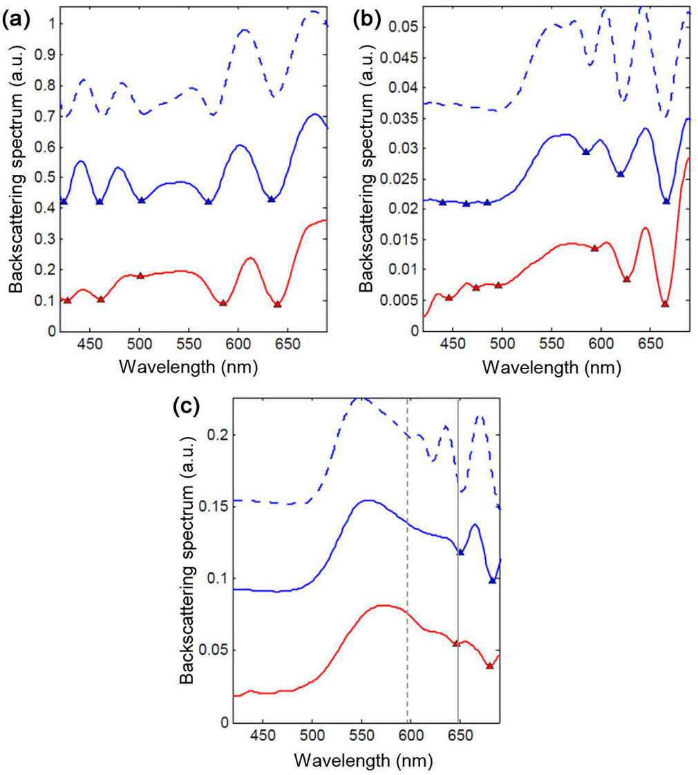 DNA nanoparticle assembly enables unprecedented control over photonic ...