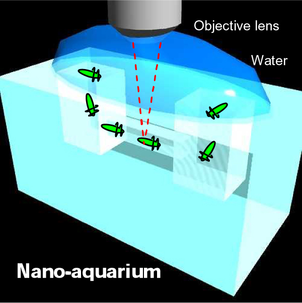 Nano-aquariums from ultrashort laser pulses